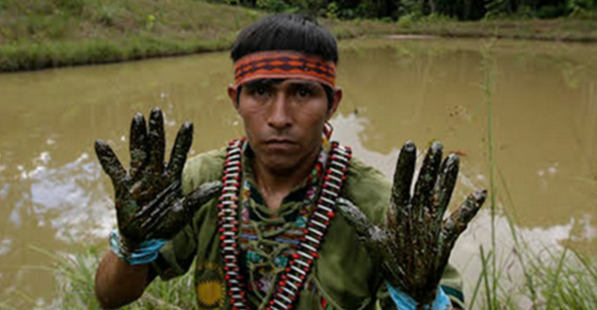 IWGIA’s reaction to the COP 29 outcome - IWGIA - International Work ...