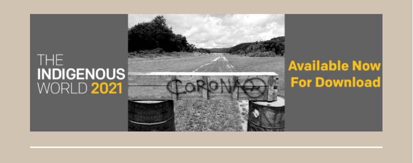 IWGIA - IWGIA - International Work Group for Indigenous Affairs