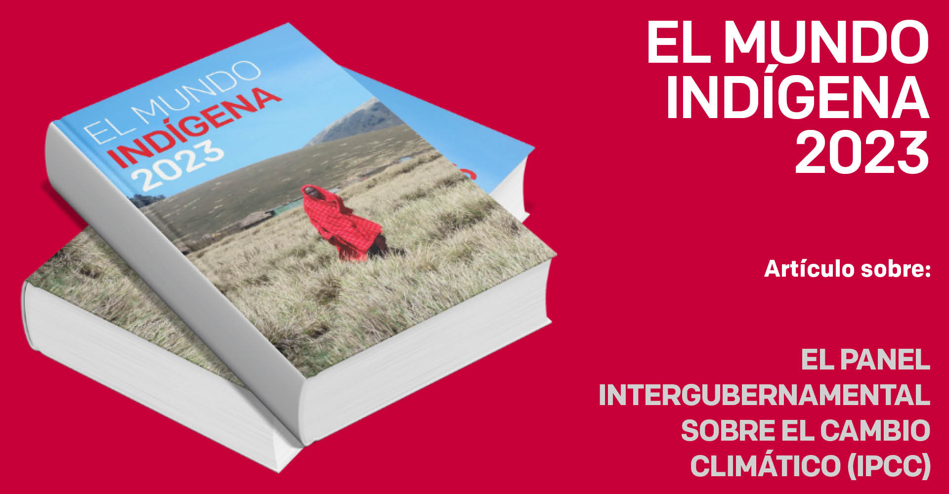 El Panel Intergubernamental sobre el Cambio Climático (IPCC) - IWGIA ...