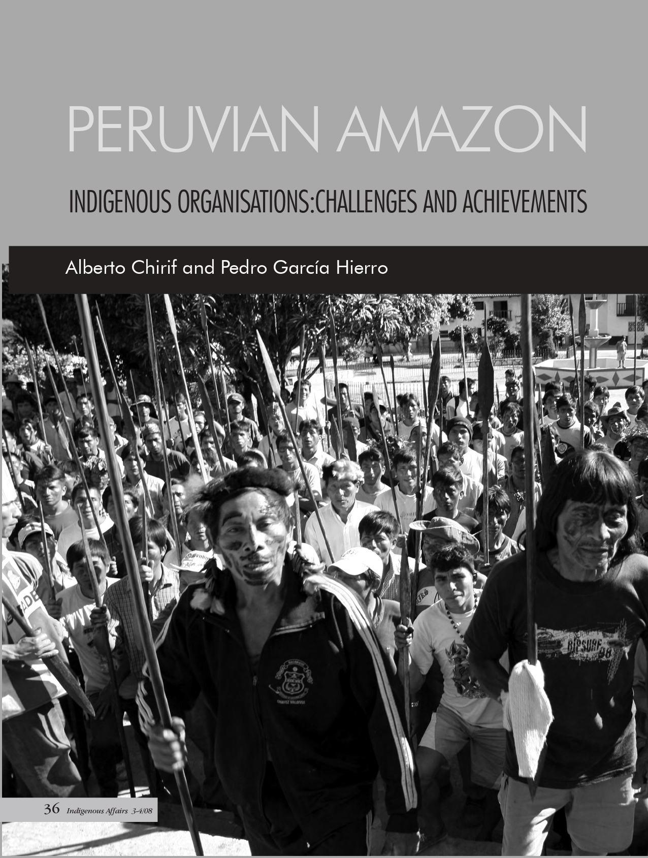 Peruvian Amazon Indigenous organizations: Challenges and achievements ...