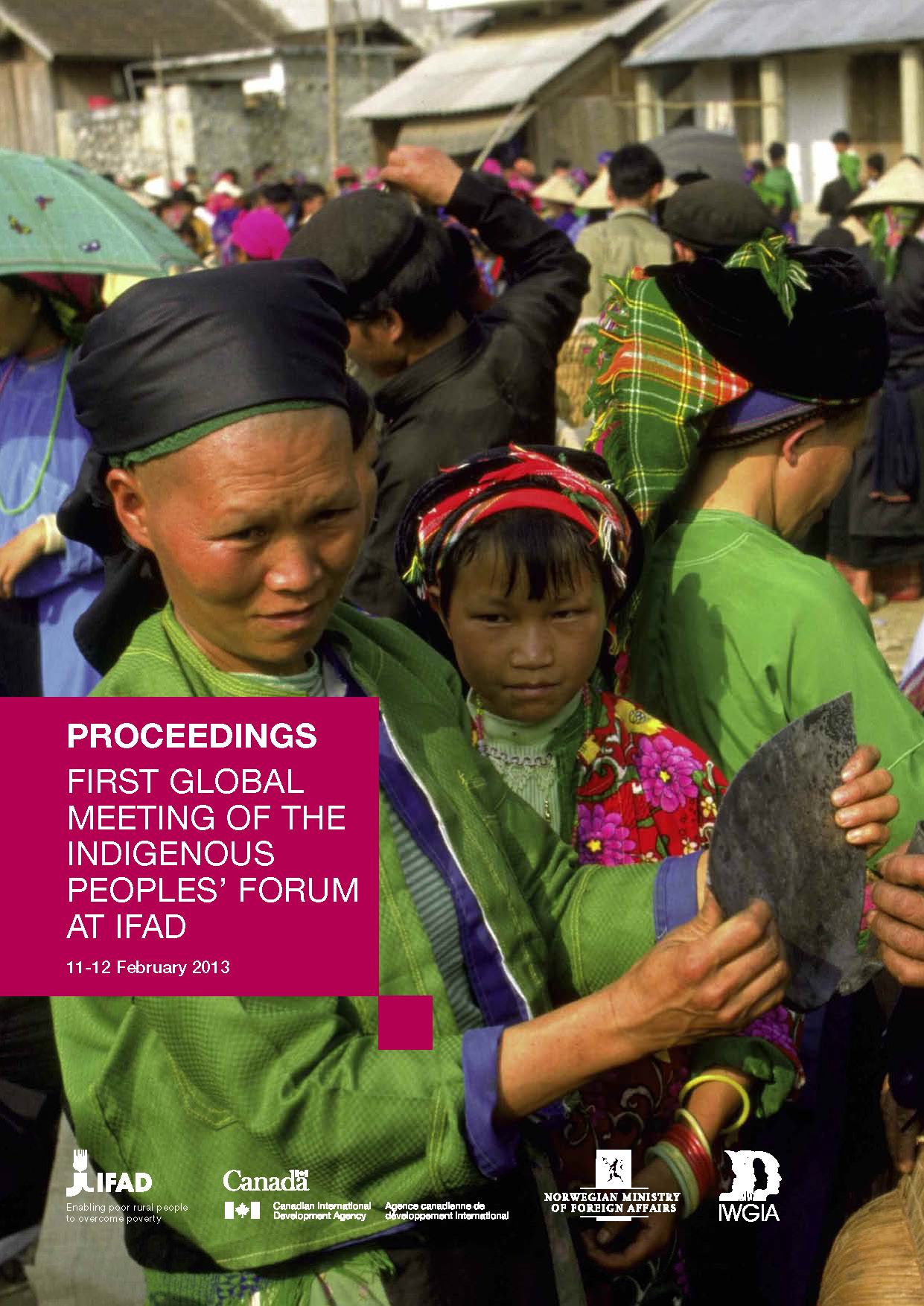 Proceedings - First Global Meeting of the Indigenous Peoples’ Forum at ...