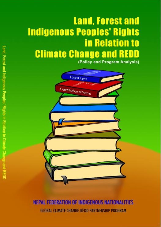 Land, Forest and Indigenous Peoples' Rights in Relation to Climate ...