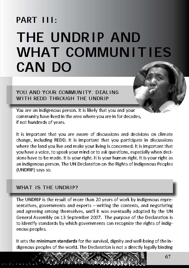 Part III: The UNDRIP and What Indigenous Communities Can Do - IWGIA ...