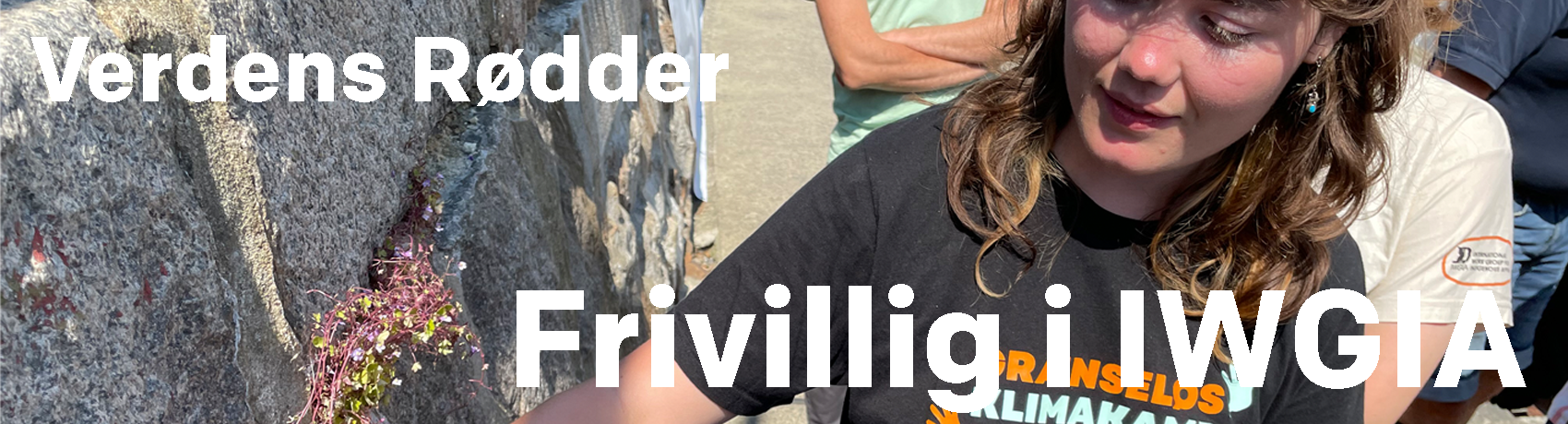 - IWGIA - International Work Group for Indigenous Affairs