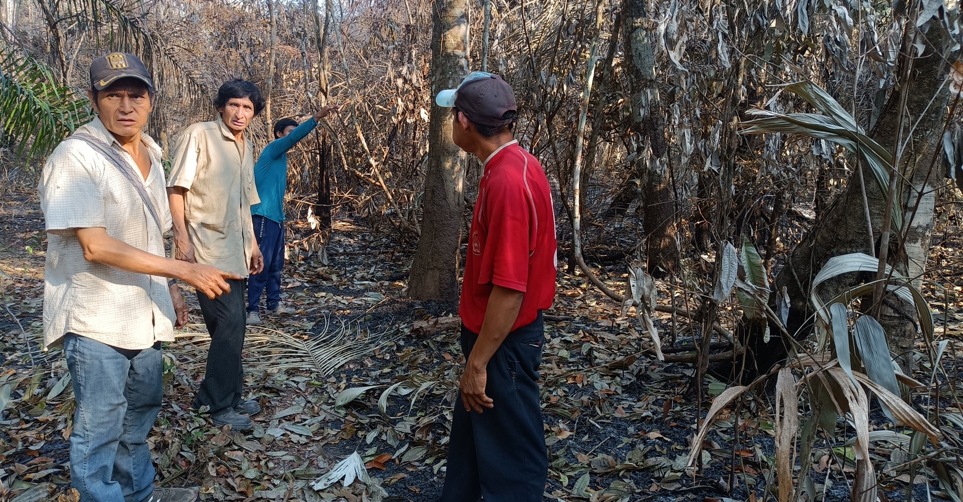 Indios Del Bosque Oriental