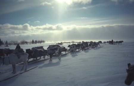 Russia - IWGIA - International Work Group for Indigenous Affairs ...