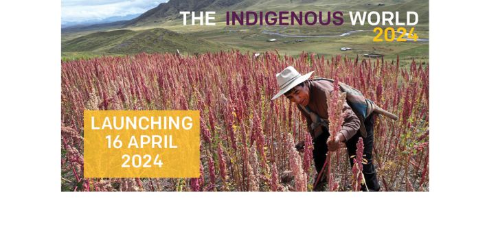 About us - IWGIA - International Work Group for Indigenous Affairs